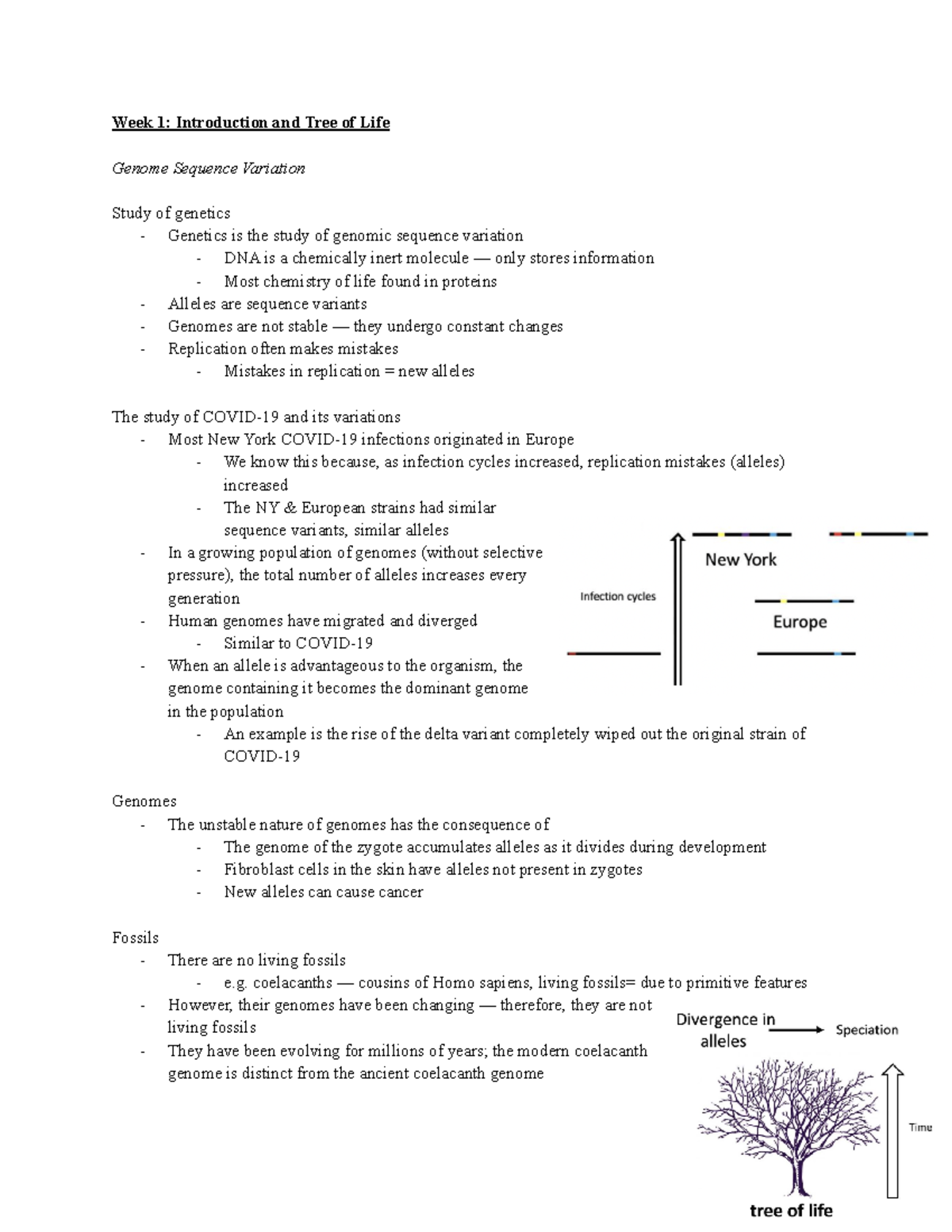 Week 1: Introduction and Tree of Life - coelacanths — cousins of Homo ...