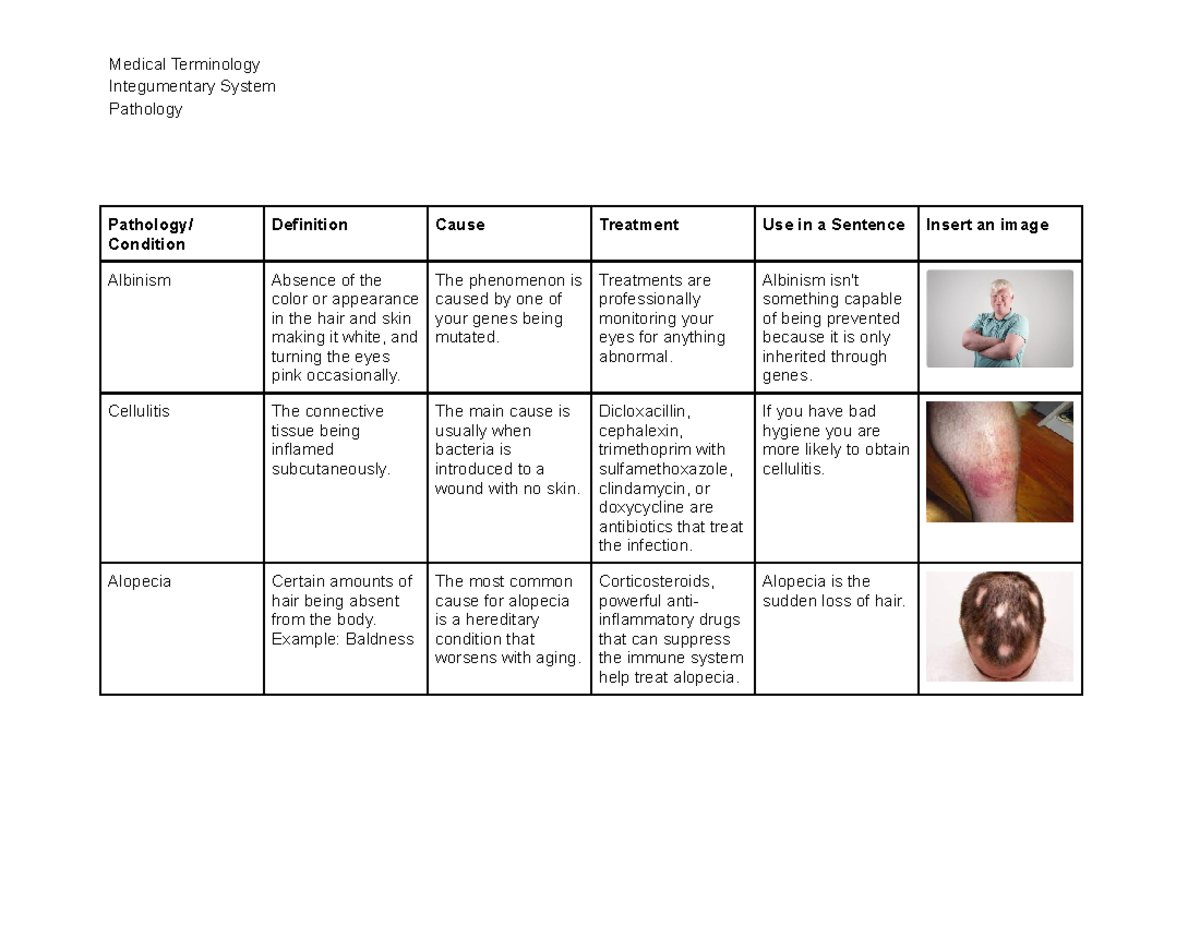 Med Term Integumentary Pathology Assignment - Integumentary System ...