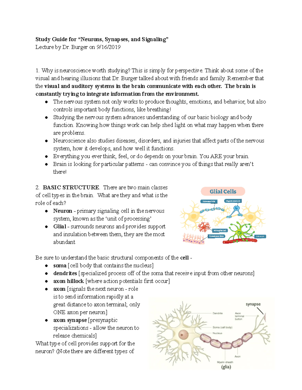 Neurons, Synapses, and Signaling - Study Guide for “Neurons, Synapses ...