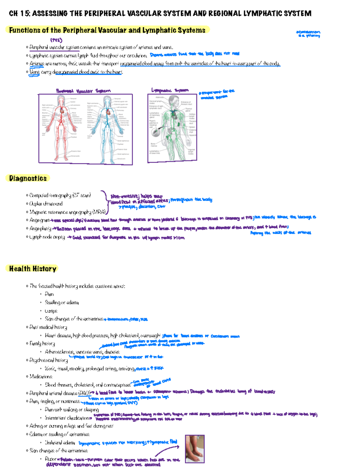 MOD 9 - Peripheral Vascular and Lymphatic Systems - ####### CH 15: ASSESSING THE PERIPHERAL ...