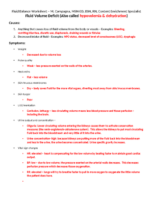 Big 7 Concept Map Template with Instructions - How to Complete the Big ...