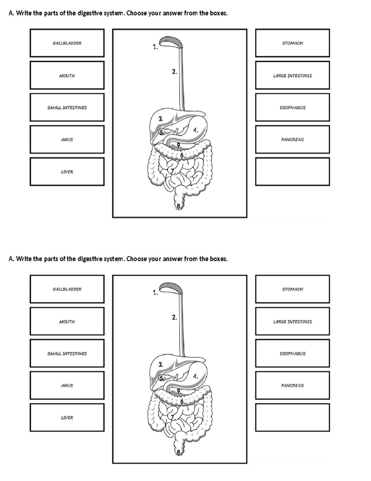 Activity in digestive system - Cell and Molecular Biology - A. Write ...
