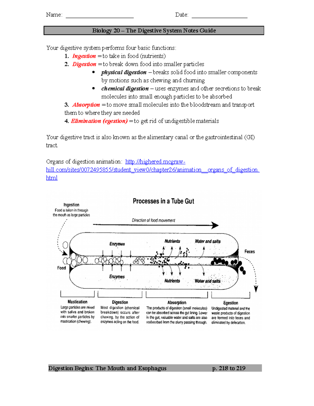 14 - digestion notes 2013 3 - Name: ______________________ Date ...