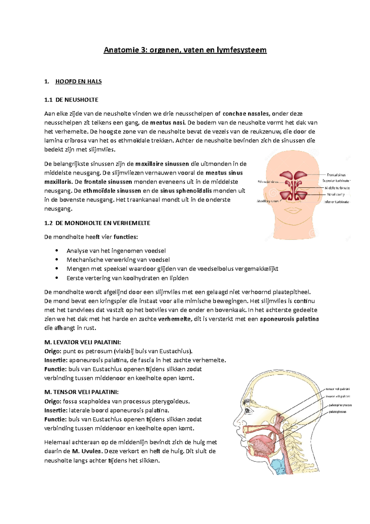 Samenvatting Anatomie 3 Mistiaen - Anatomie 3: organen, vaten en ...
