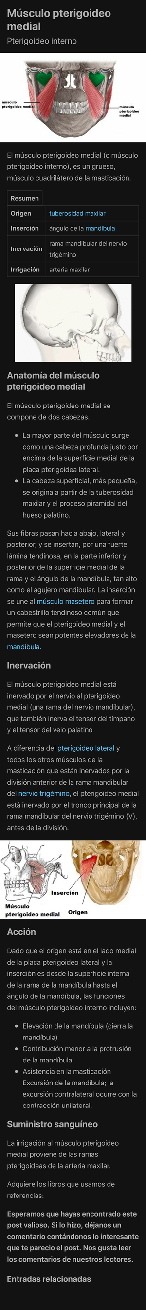 Origen E Inserción Del Músculo Pterigoideo Lateral