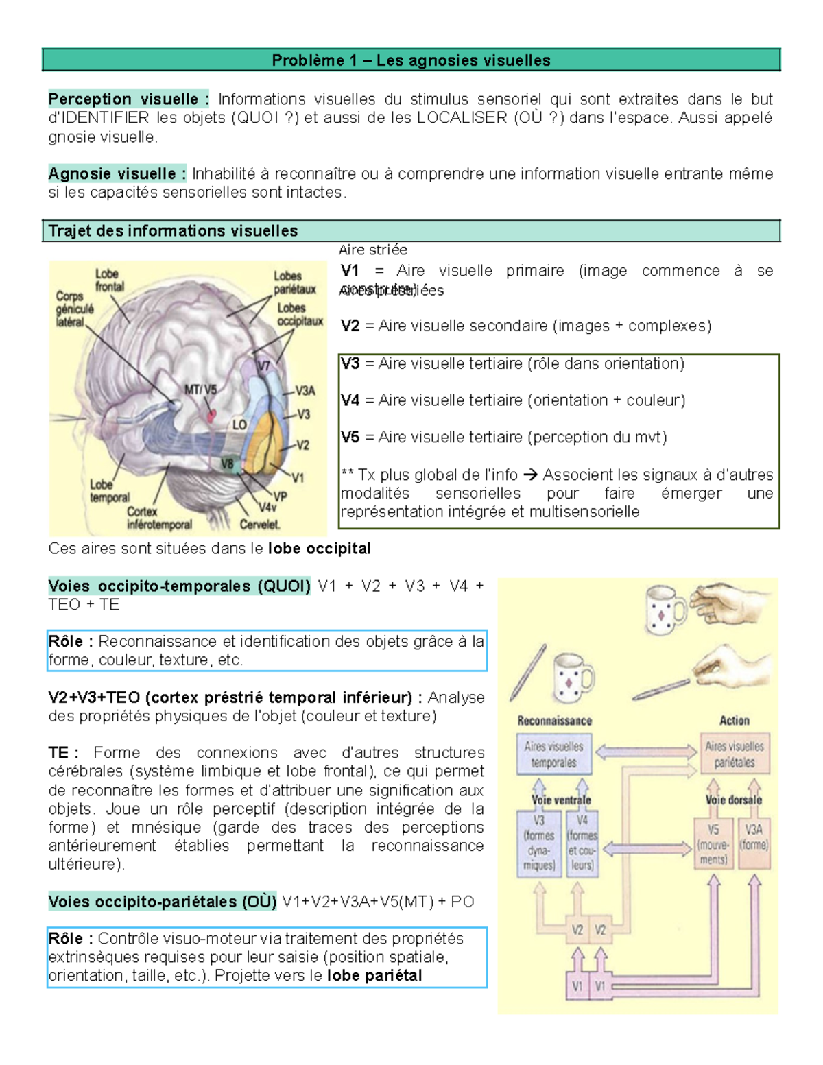 ERG121 - Notes de cours - Problème 1 – Les agnosies visuelles ...