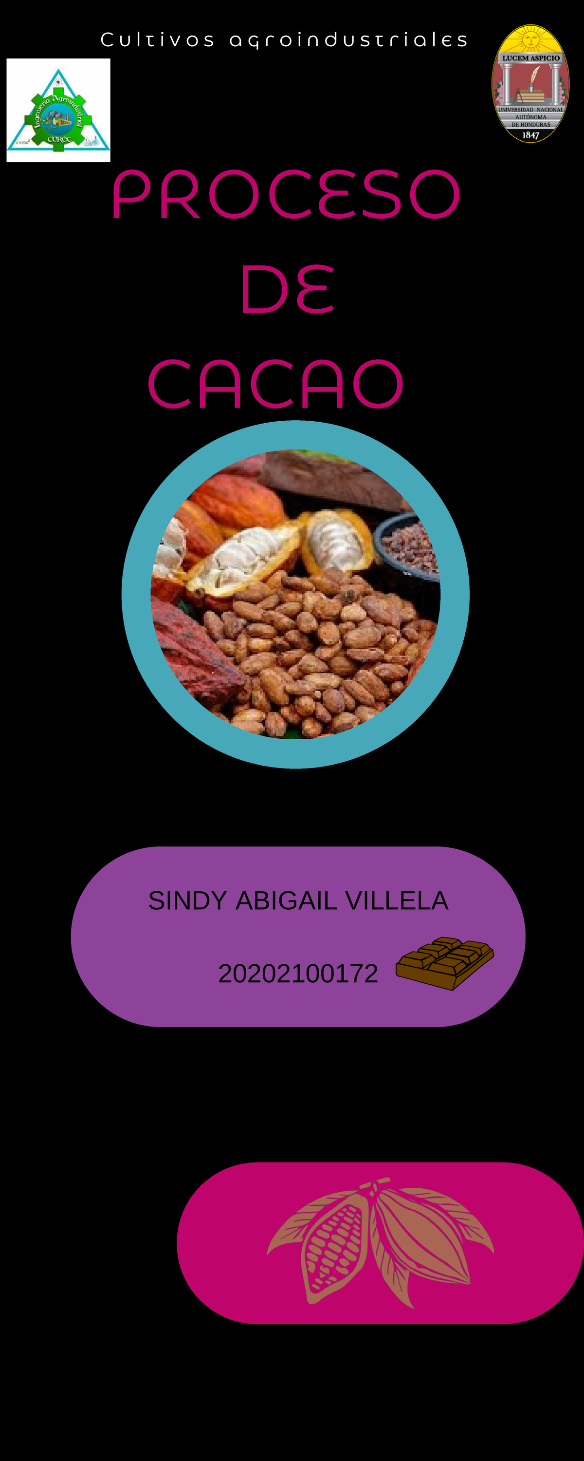 Infograma Proceso DE Cacao Sindy Villela - SINDY ABIGAIL VILLELA 20202100172 PROCESO DE CACAO C ...