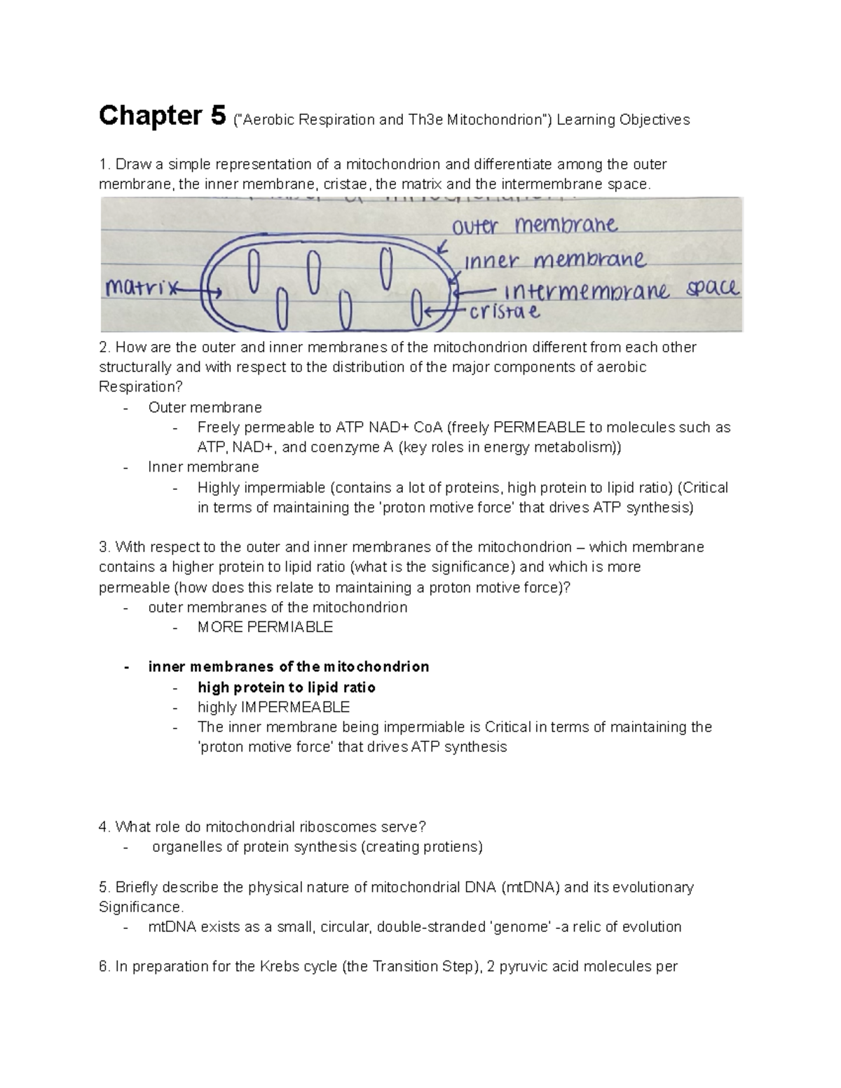 5Bio230 Learning Objectives Exam 2 Chapter 5 - Google Docs - Chapter 5 (“Aerobic Respiration and ...