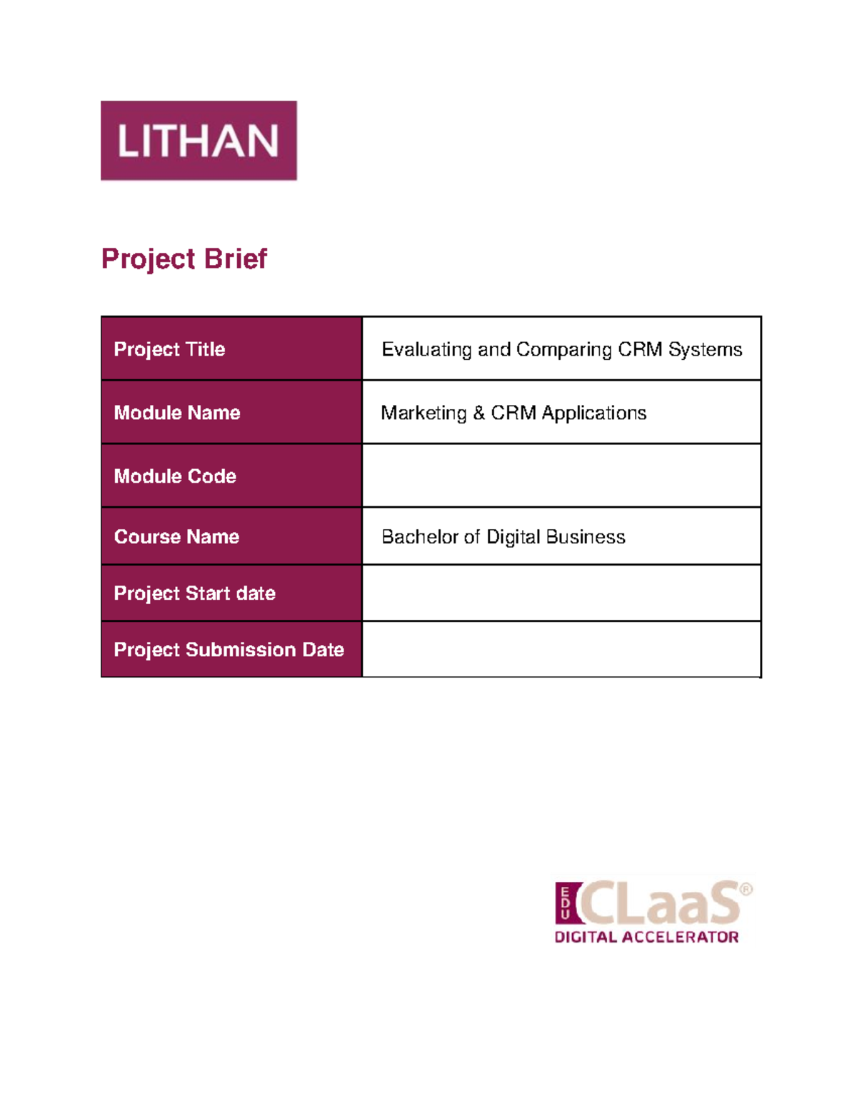 Marketing CRM Application -Project Brief - Project Brief Project Title ...