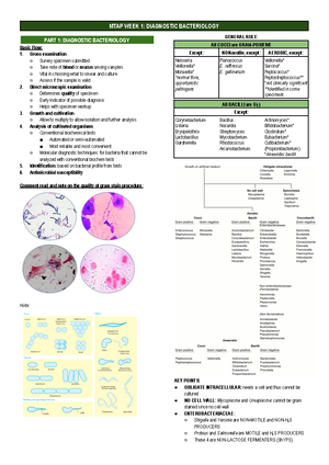 Must2Know Bacterial ID Methods - Overview of Bacterial Identification ...