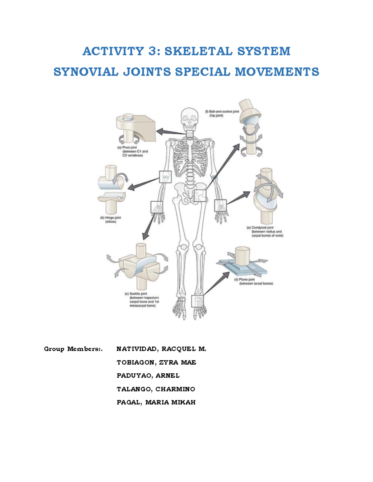 BSN 1E Anaphy- Special Movements OF Synovial Joints Group 7 - ACTIVITY ...