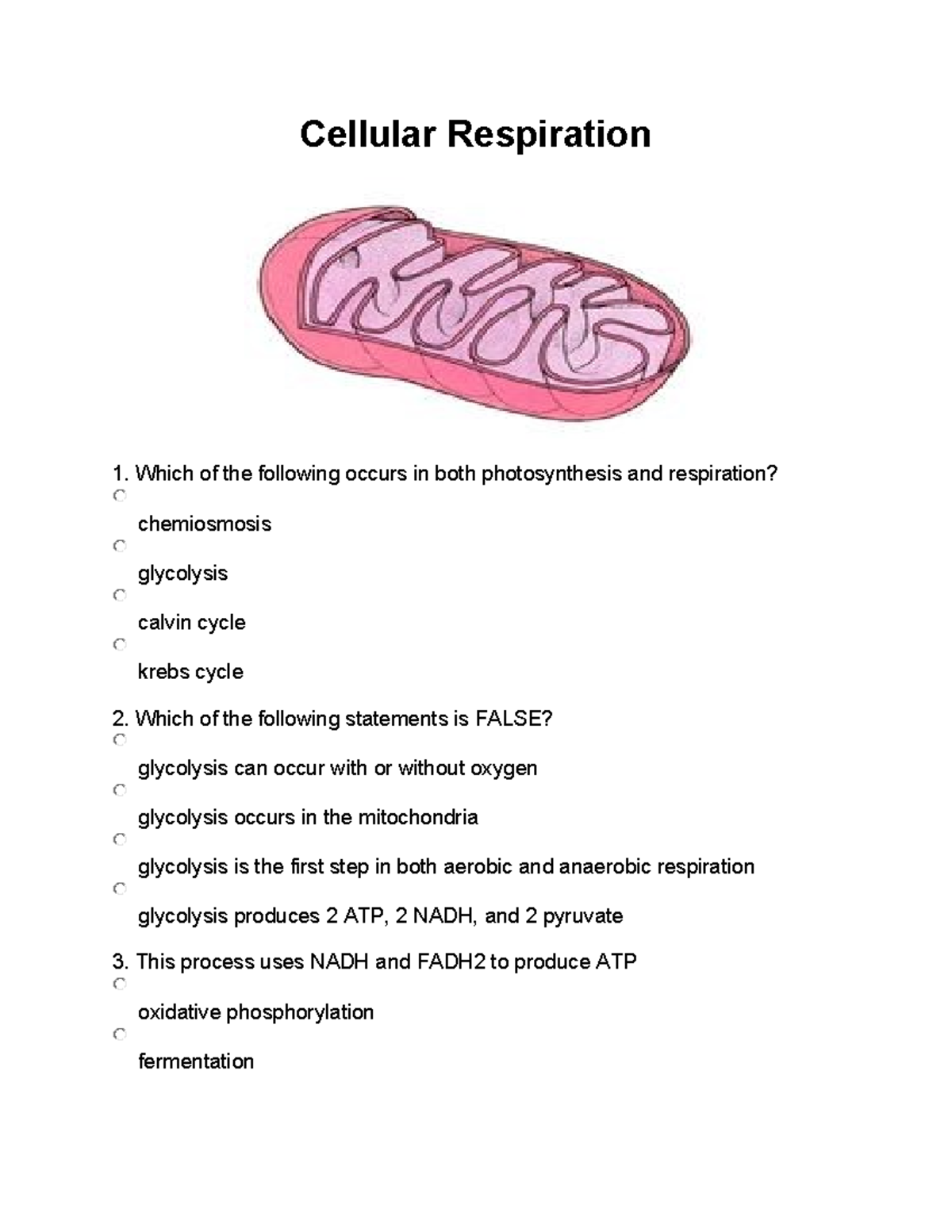 Cellular Respiration Quiz - Cellular Respiration Which of the following ...