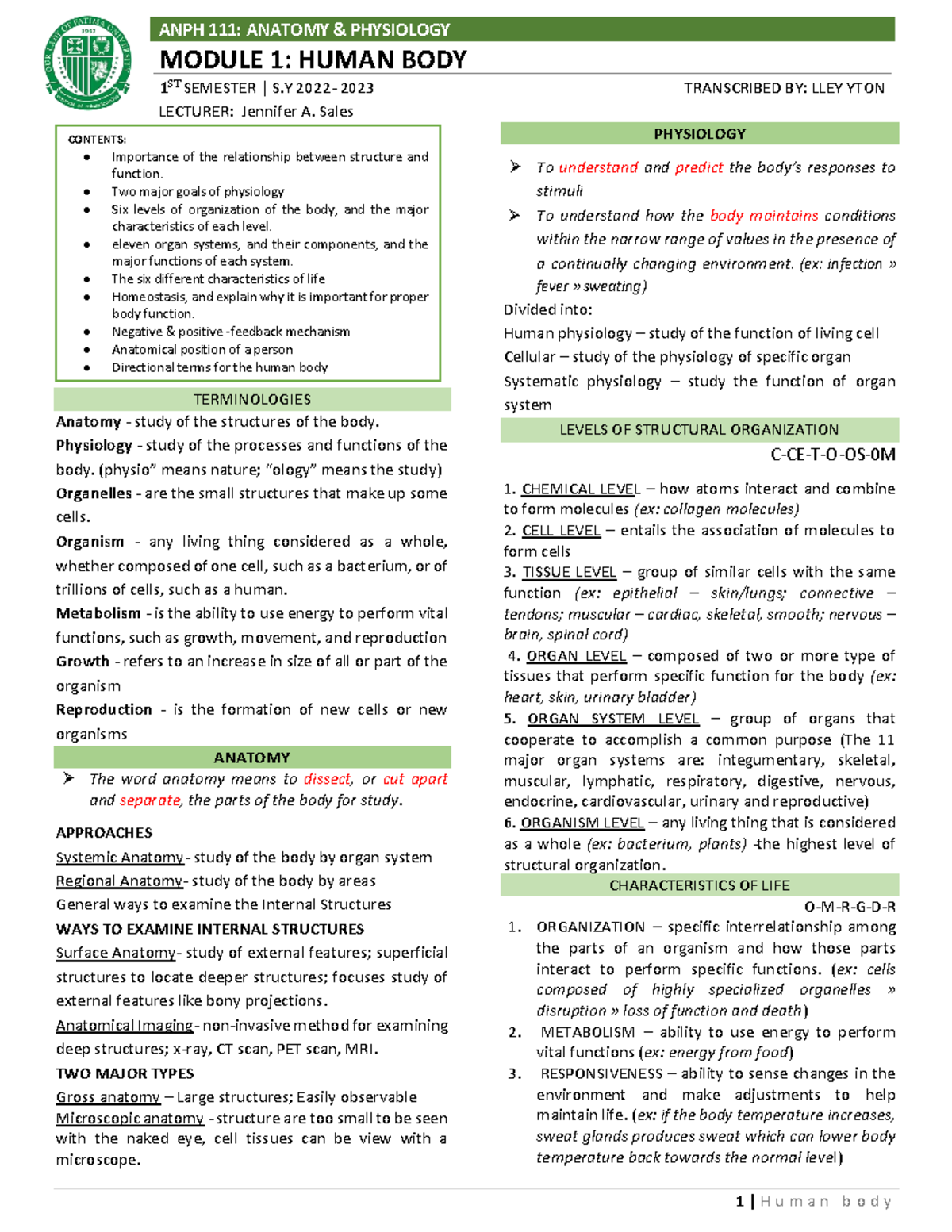 Human BODY ( LEC. ) - TERMINOLOGIES Anatomy - study of the structures ...