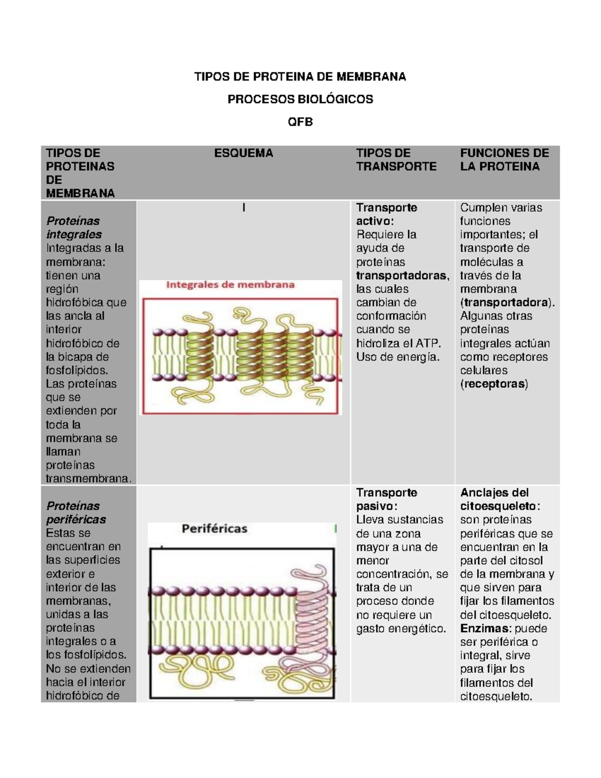 Tipos DE Proteina DE Membrana - TIPOS DE PROTEINA DE MEMBRANA PROCESOS BIOLÓGICOS QFB TIPOS DE ...