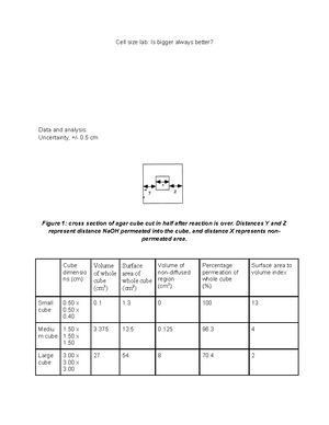 Effect of surface area to volume ratio on the rate of diffusion of agar ...