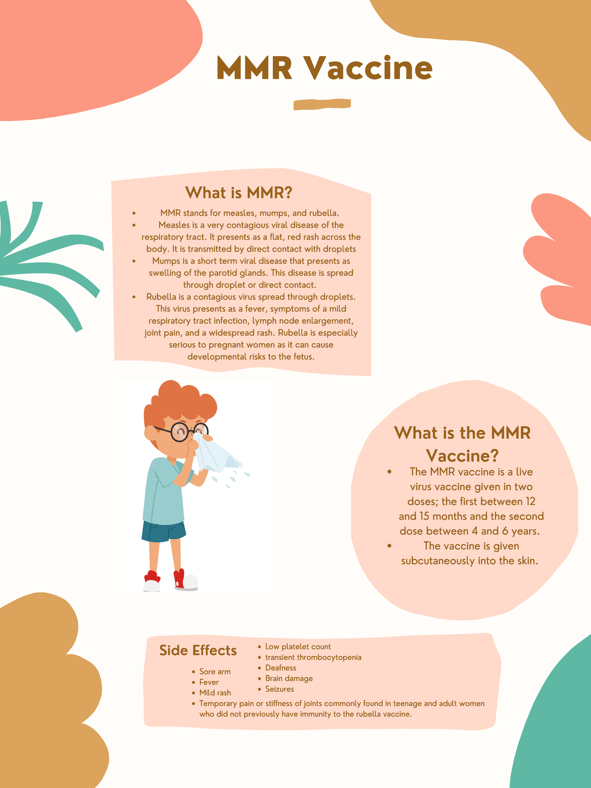 MMR Vaccine - Summary for exam review - What is the MMR Vaccine? The ...