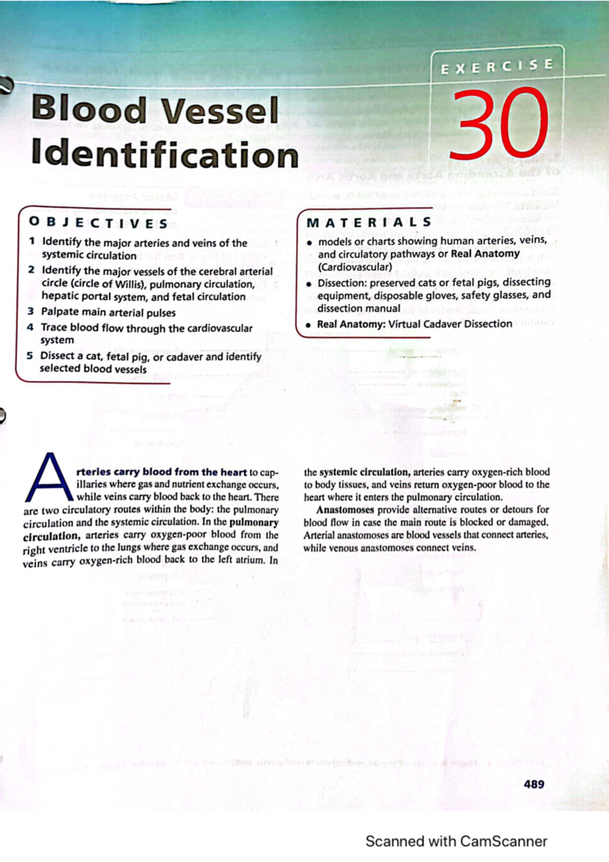 Blood vessel identification part 1 - BIOL 141 - Studocu