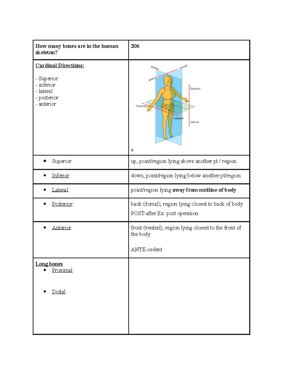 Anth360 study guide 1 - How many bones are in the human skeleton? 206 ...