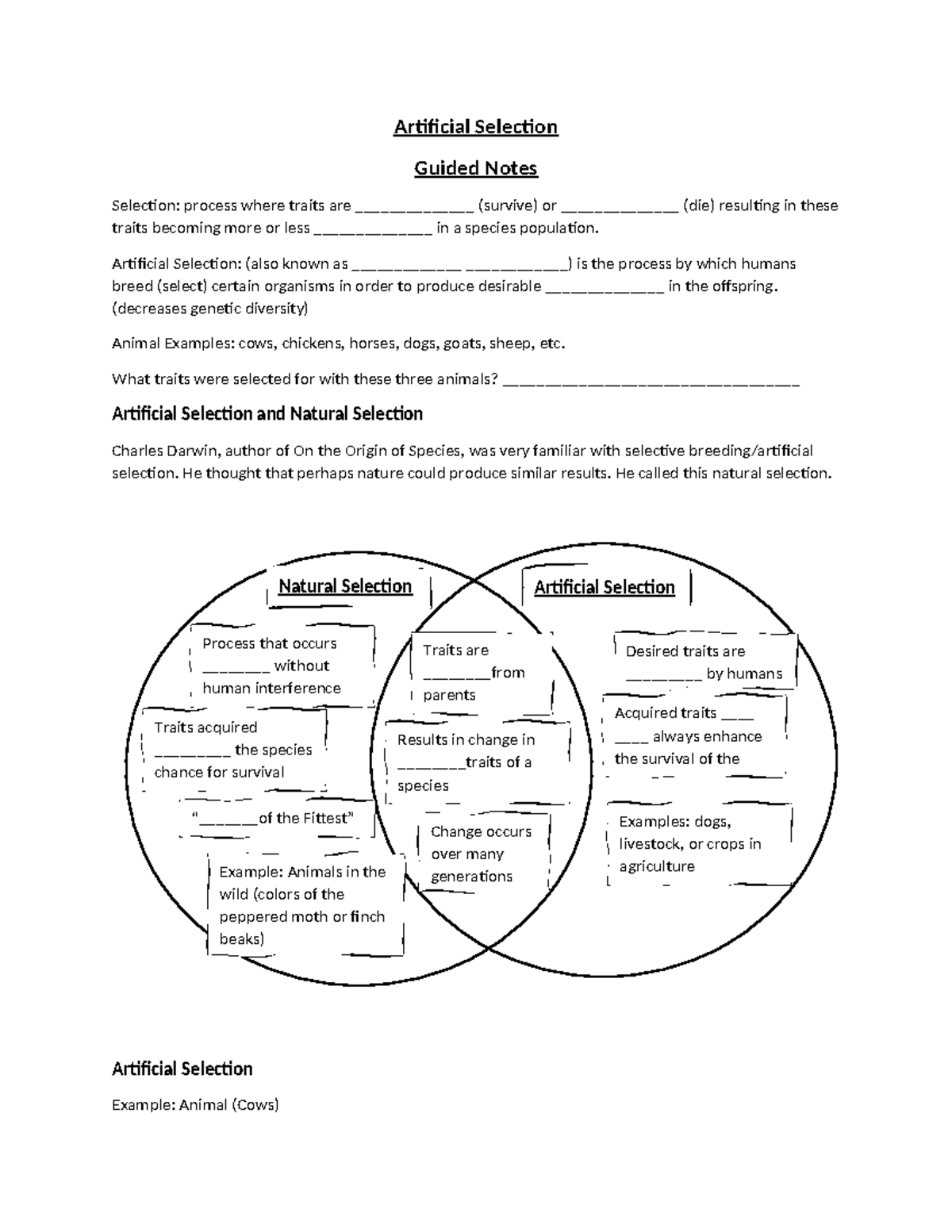 Artificial Selection Guided Notes Student - Artificial Selection Guided ...