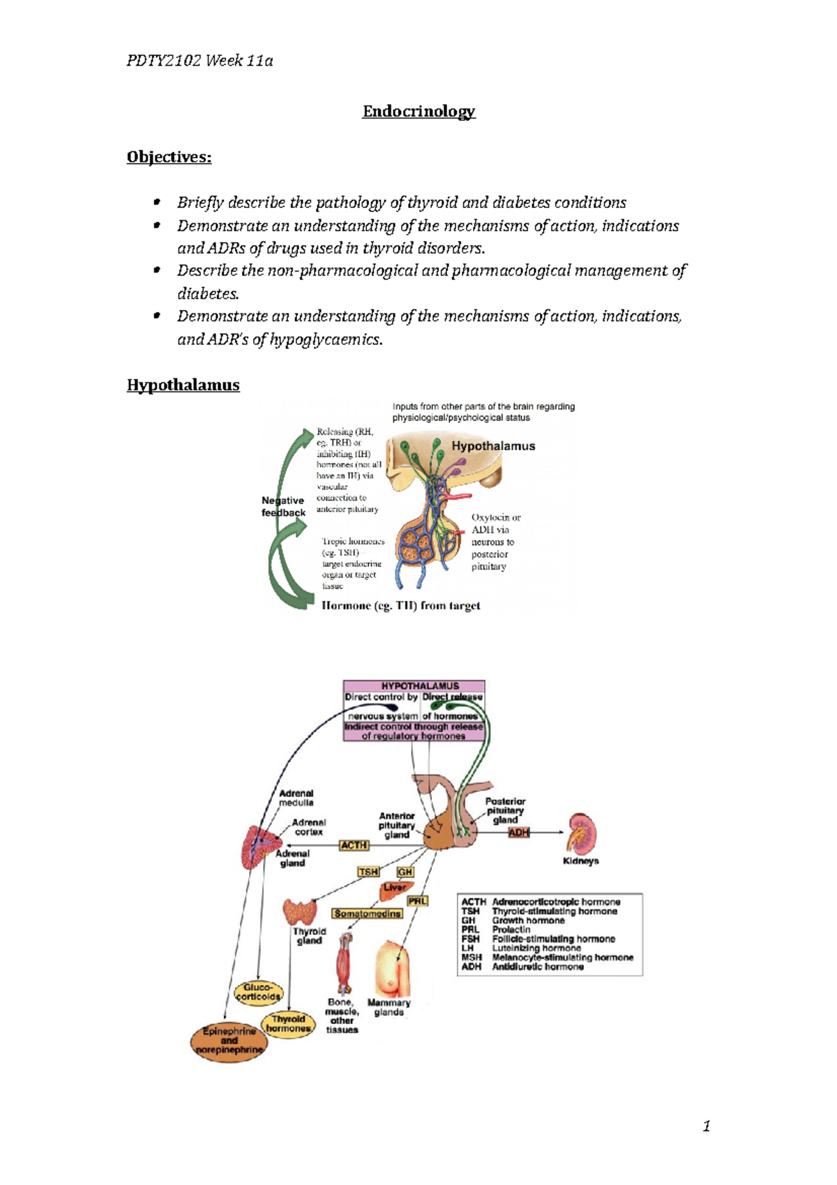 Lecture 11- Endocrine Pharmacology - Endocrinology Objectives: Briefly ...
