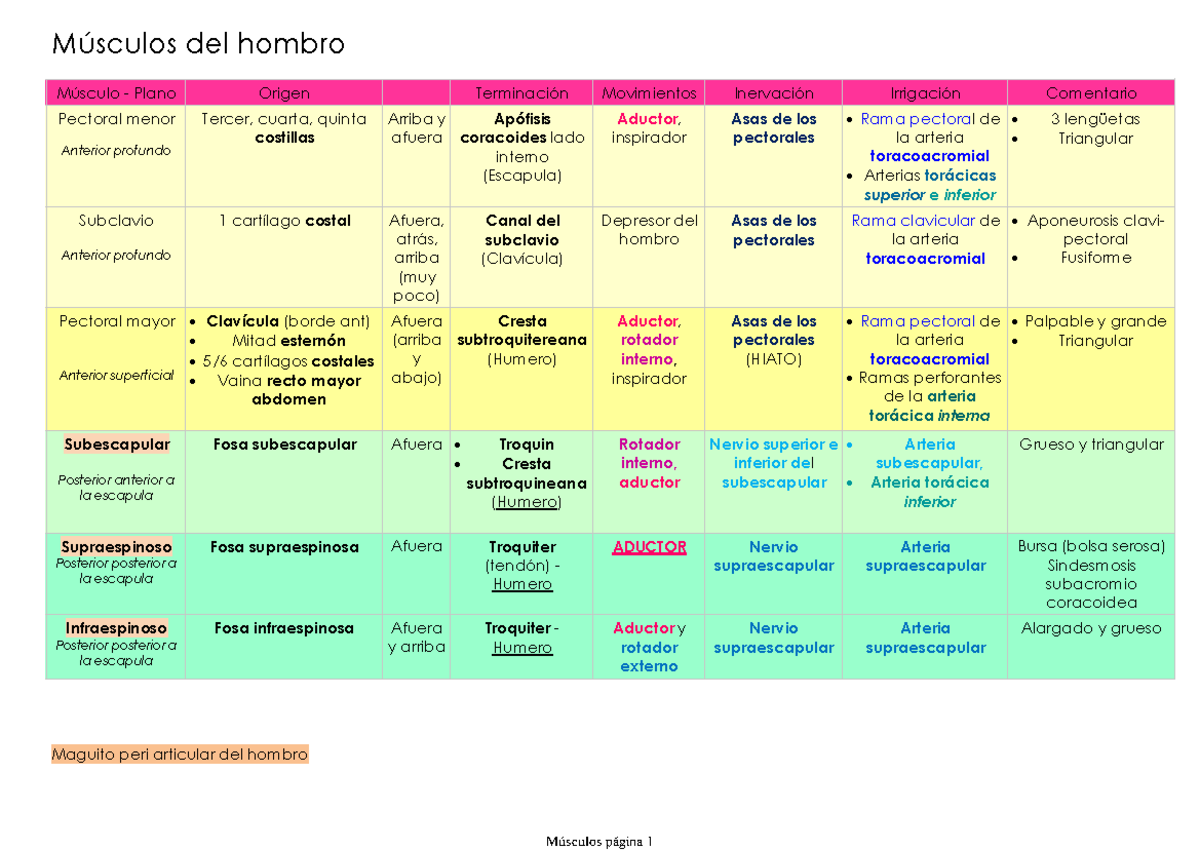 Resumen musculos Miembro Superior - Músculo - Plano Origen Terminación ...