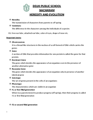 Authorization Objects - Authorization Object Authorization Fields ...