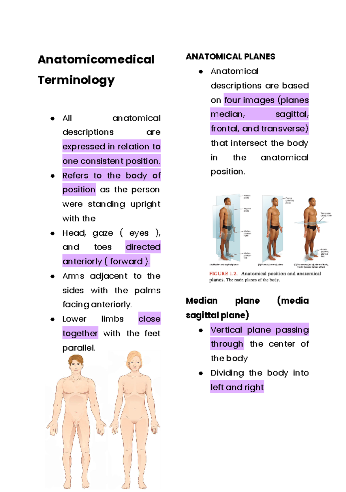 Anatomicomedical - Anatomicomedical Terminology All anatomical ...