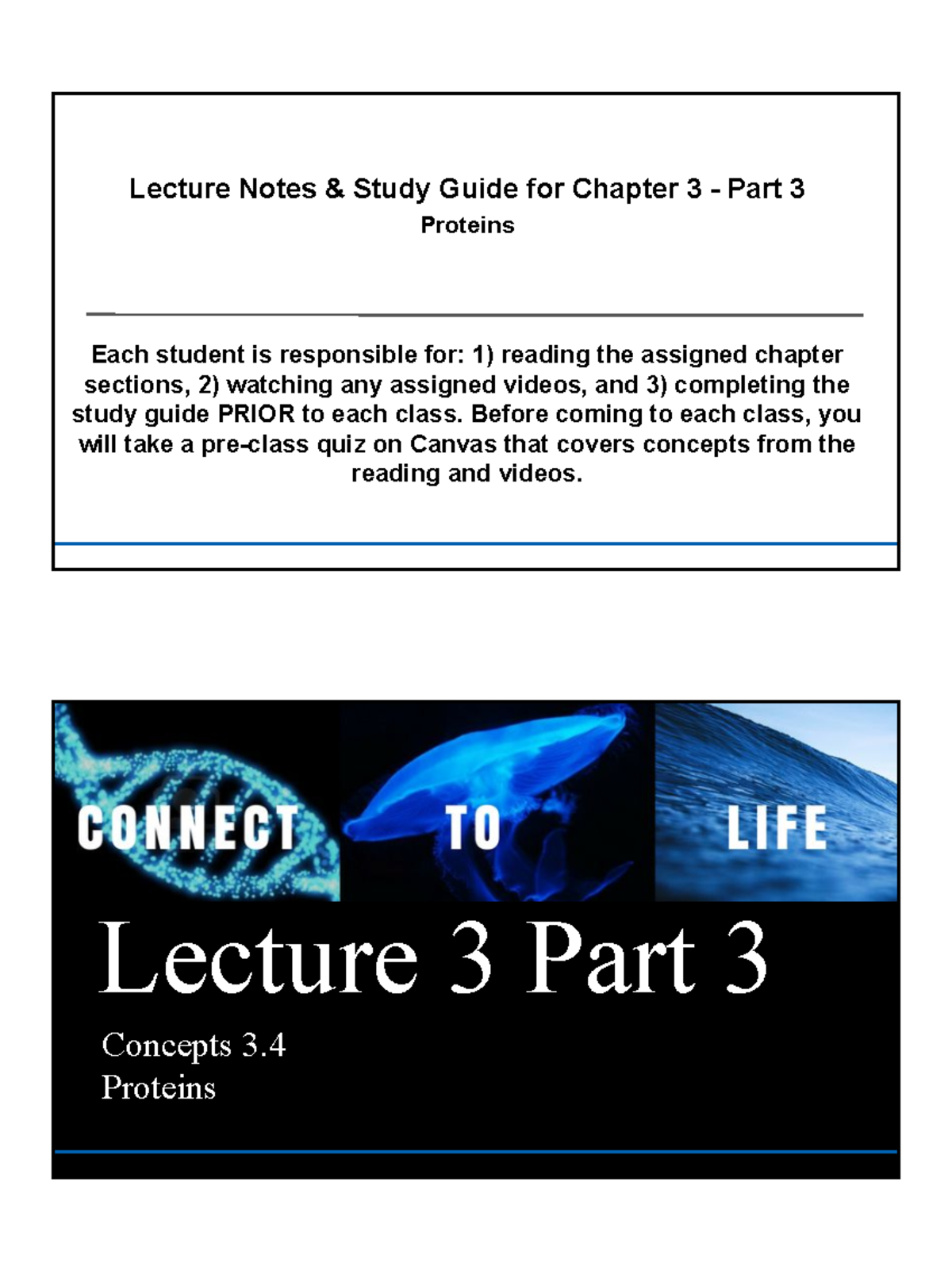 Chapter 3 Part 3 PP Worksheet-Notes Summary - Lecture Notes & Study ...
