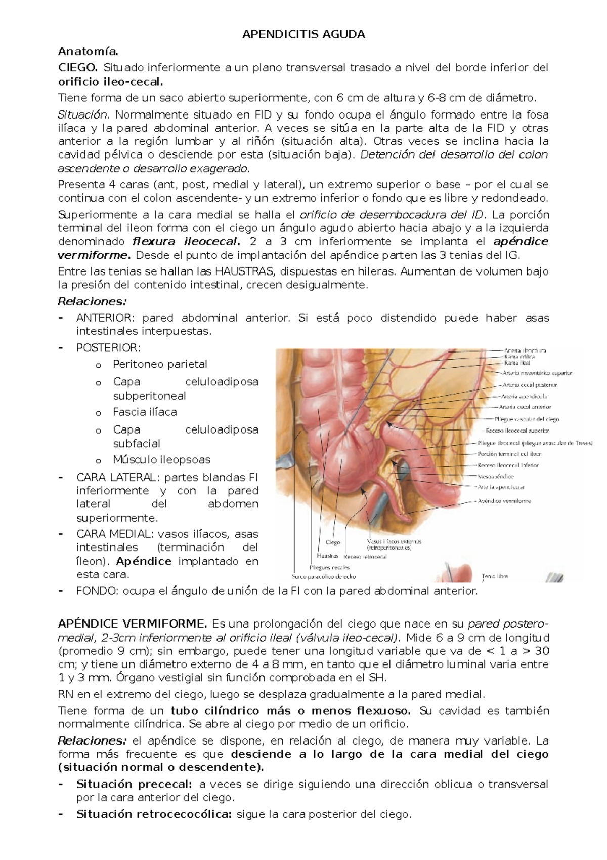 Apendicitis Aguda - Resumen hecho con Michans y Gimenes de Cirugía General - APENDICITIS AGUDA ...