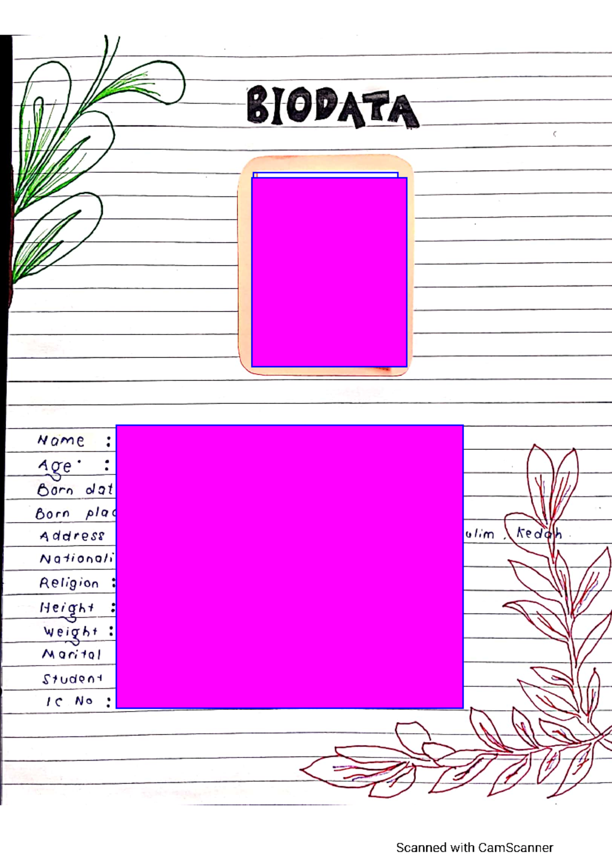 1. Student Sample Portfolio - BIODATA Name : Age : Born dat Born plac ...