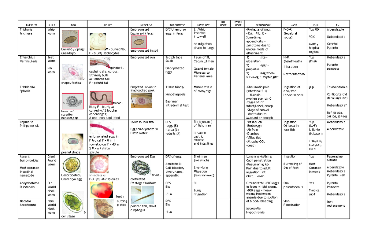 Parasitology- Table- Review - PARASITE A.K. EGG ADULT INFECTIVE ...