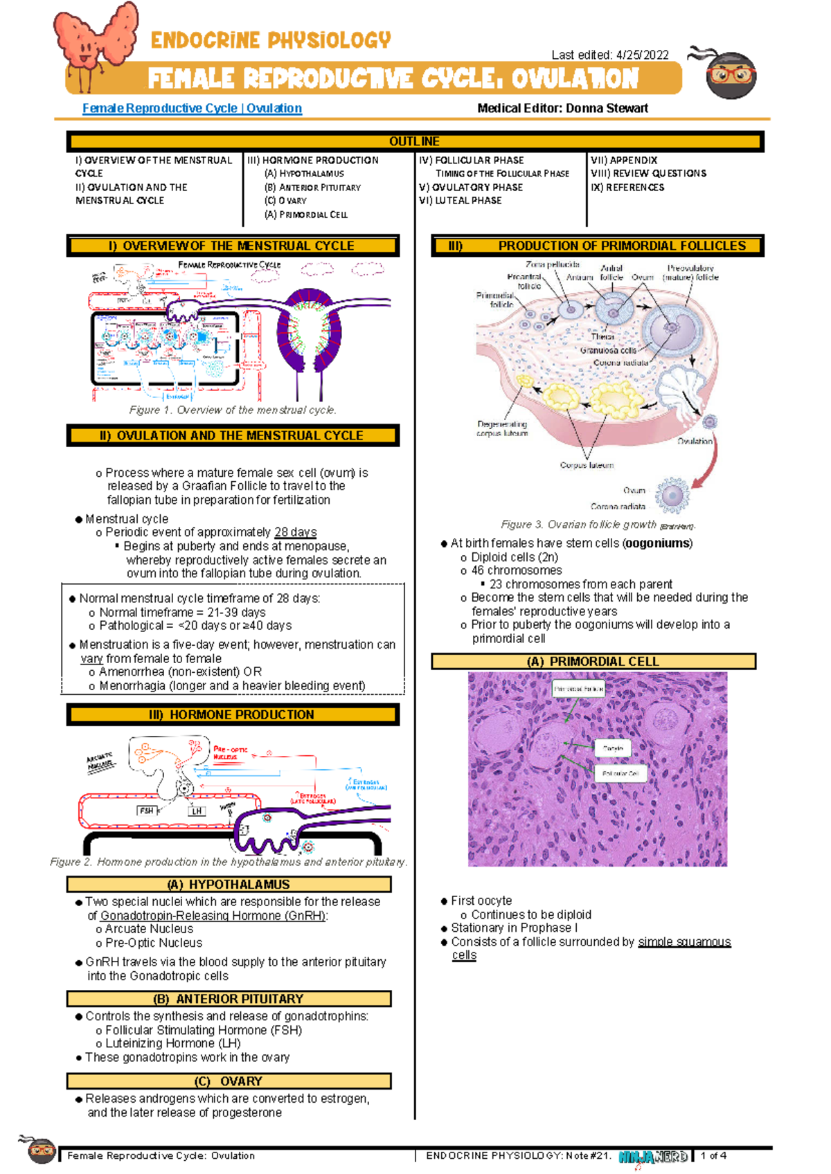 057 - Endocrinology Physiology] Ovulation - Female Reproductive Cycle ...