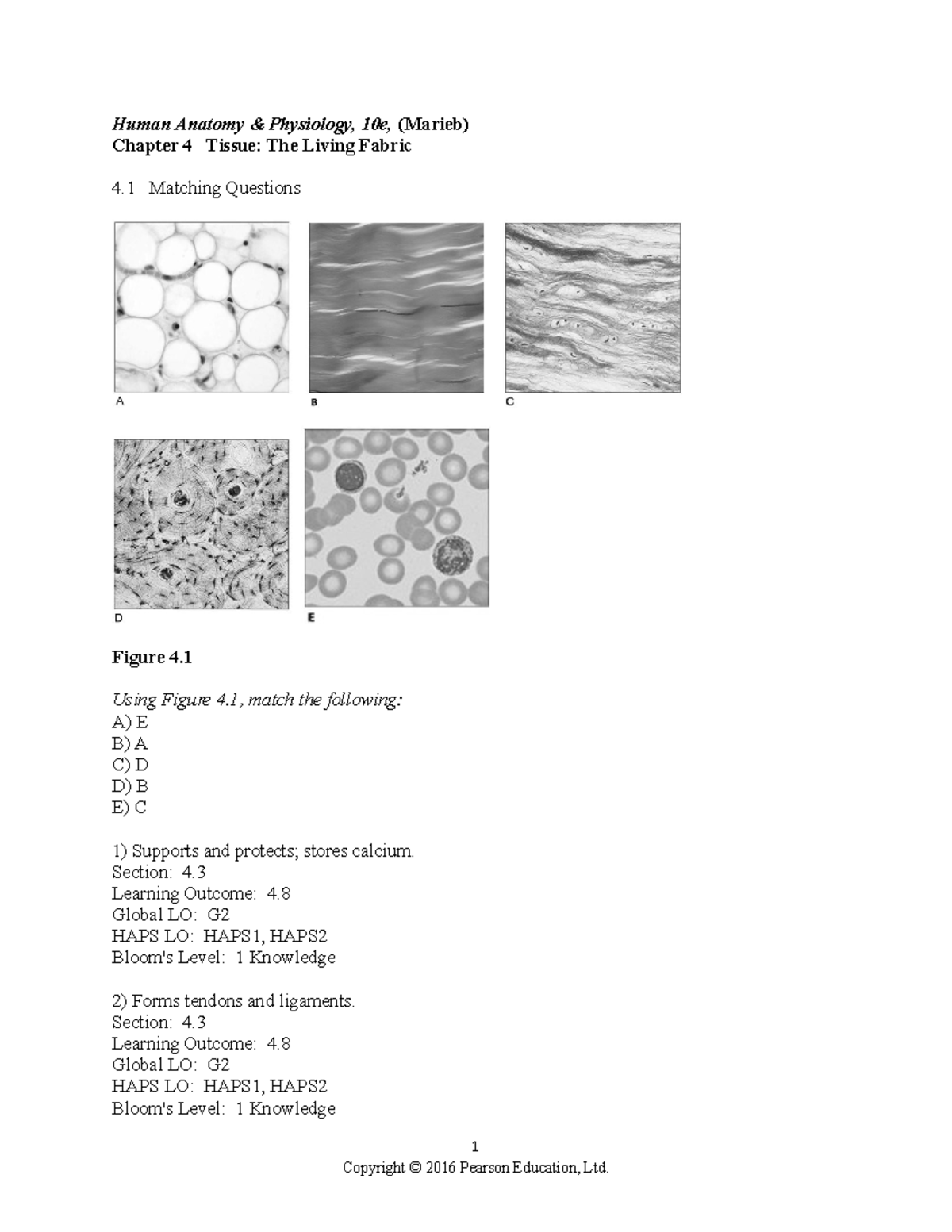 Ch 04 test bank - Practice material - Human Anatomy & Physiology, 10e ...