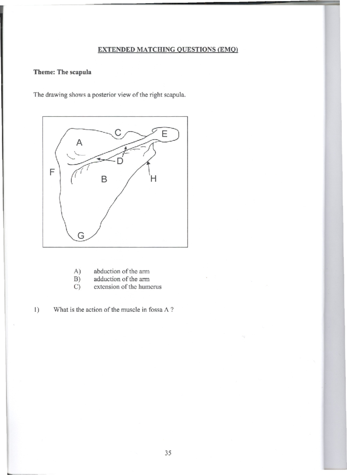 Exam November 2011, questions and answers - EXTENDED MATCHING QUESTIONS ...