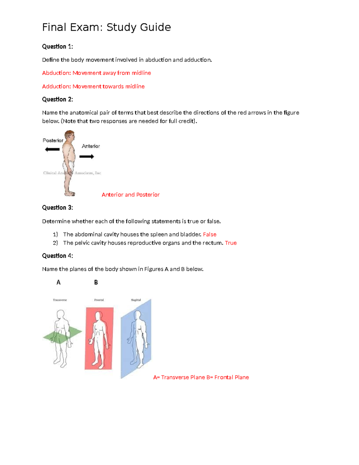 Final exam study guide (portage learning A&P 1) - Question 1: Define the body movement involved ...
