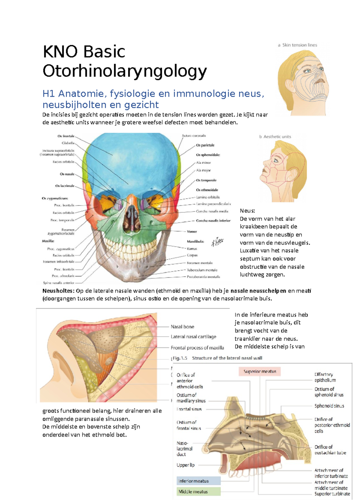 KNO Basic Otorhinolaryngology AP4 - KNO Basic Otorhinolaryngology H1 ...