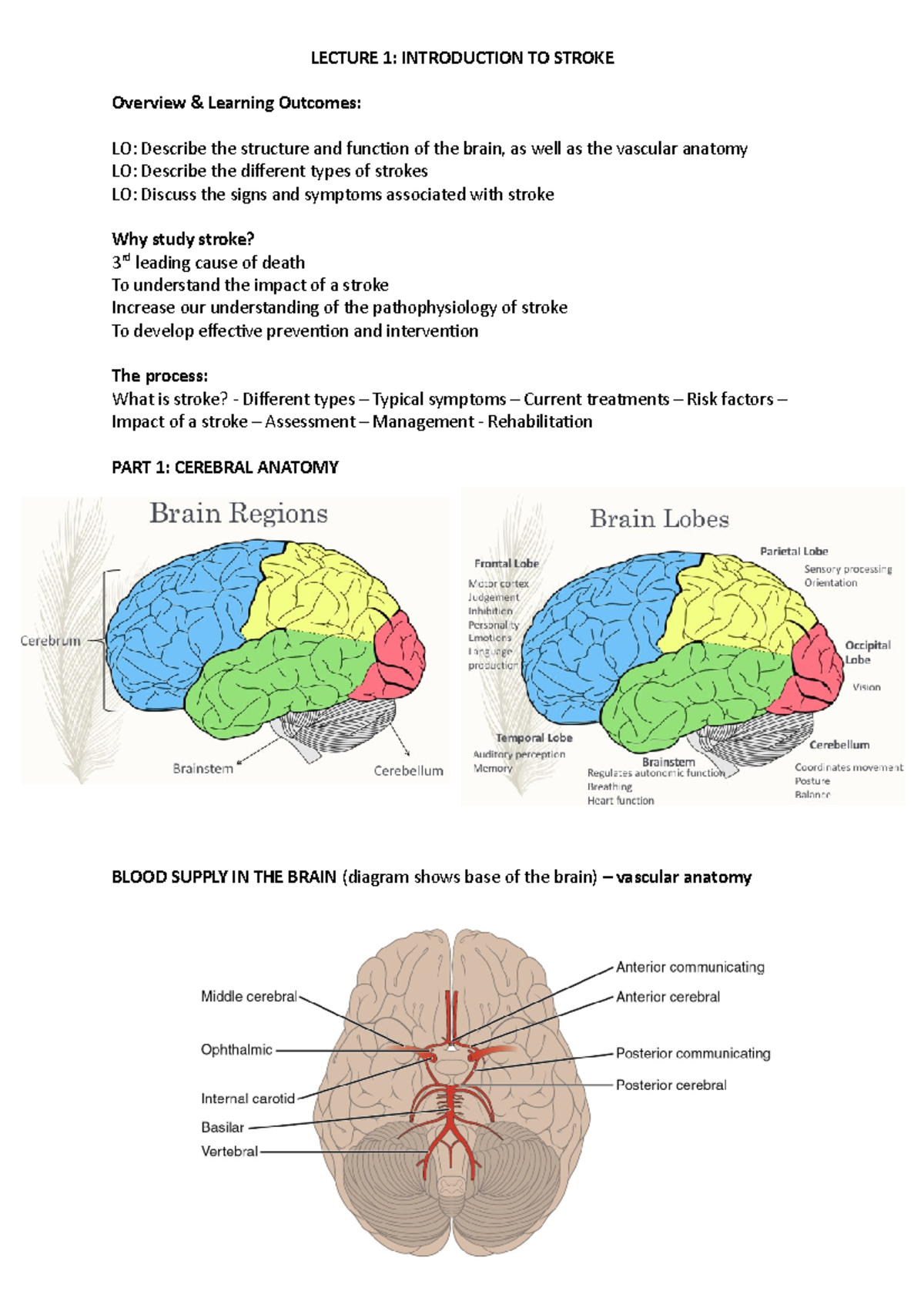 PSY345 lecture 1 introduction to stroke - LECTURE 1: INTRODUCTION TO ...