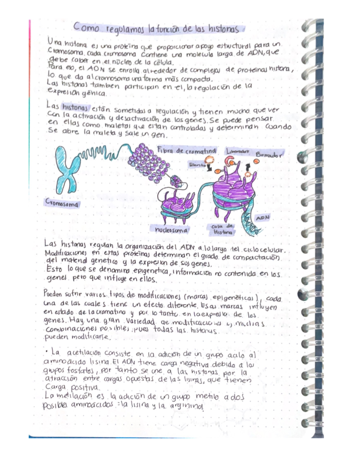 Tareas Pendientes Cindy Rangel - Biologia Molecular - Studocu