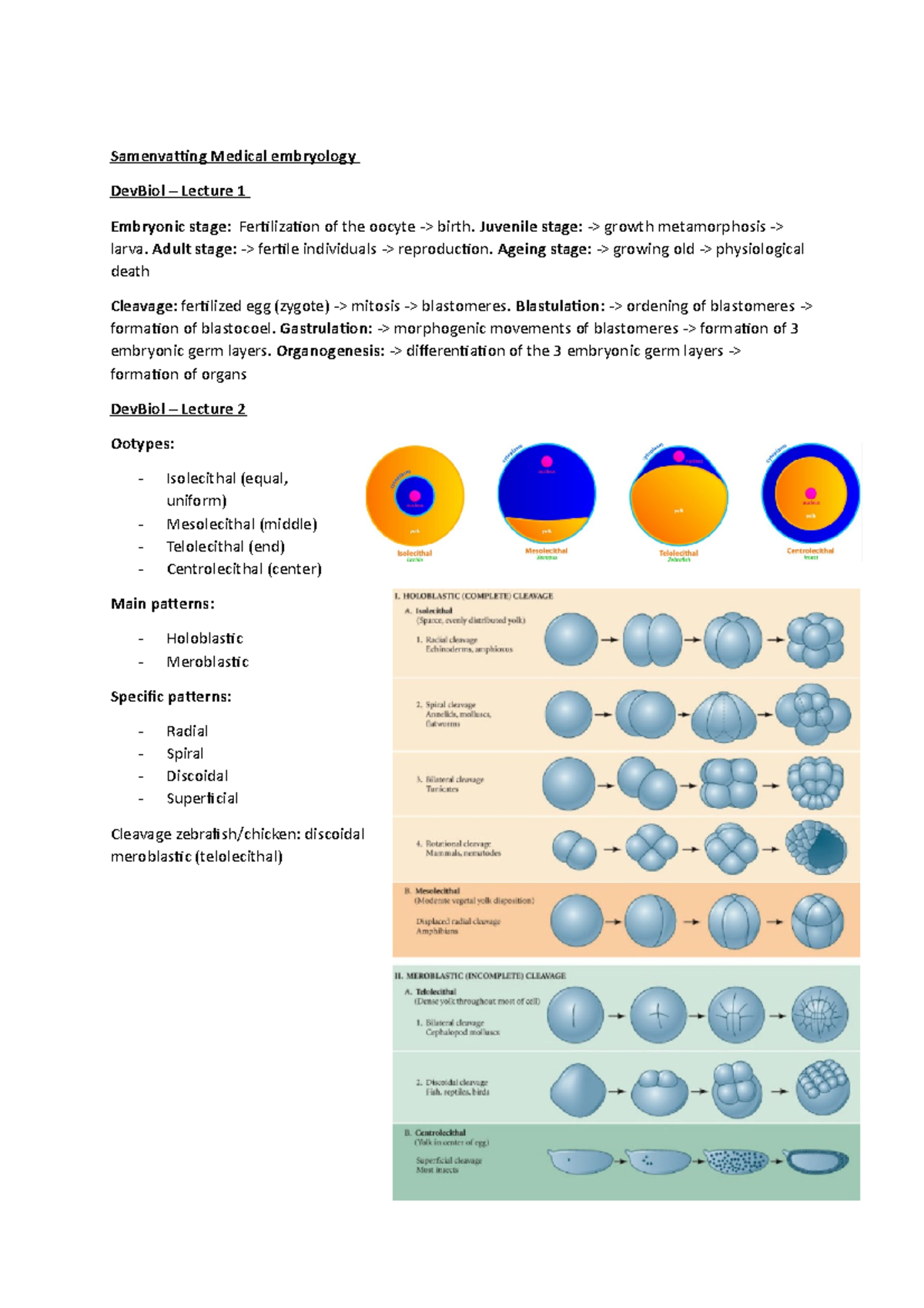 Medical embryology samenvatting - Samenvatting Medical embryology ...