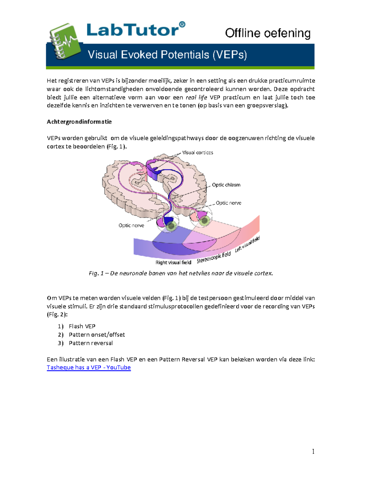 VEP handout offline practicum 2022-2023 - Visual Evoked Potentials ...