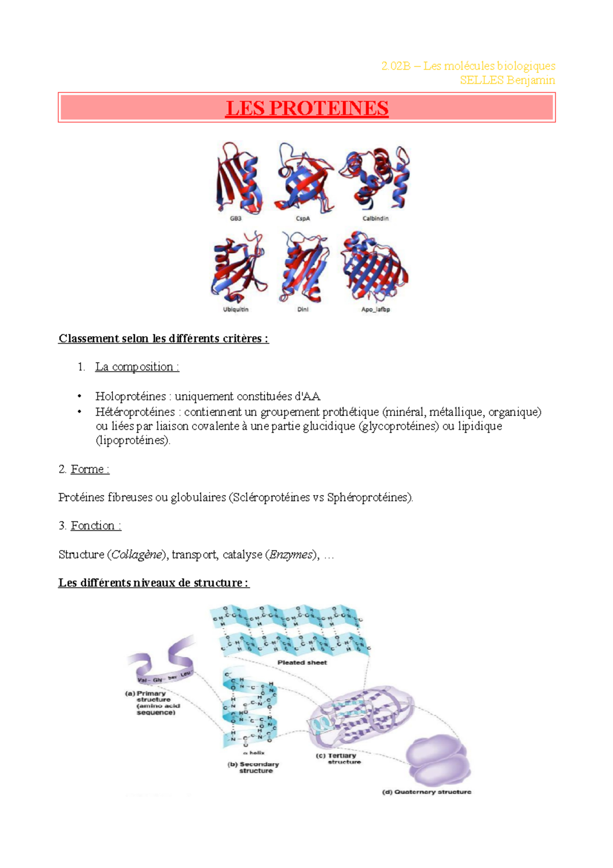 Les protéines - cours Mr Selles - 2 – Les molécules biologiques SELLES ...