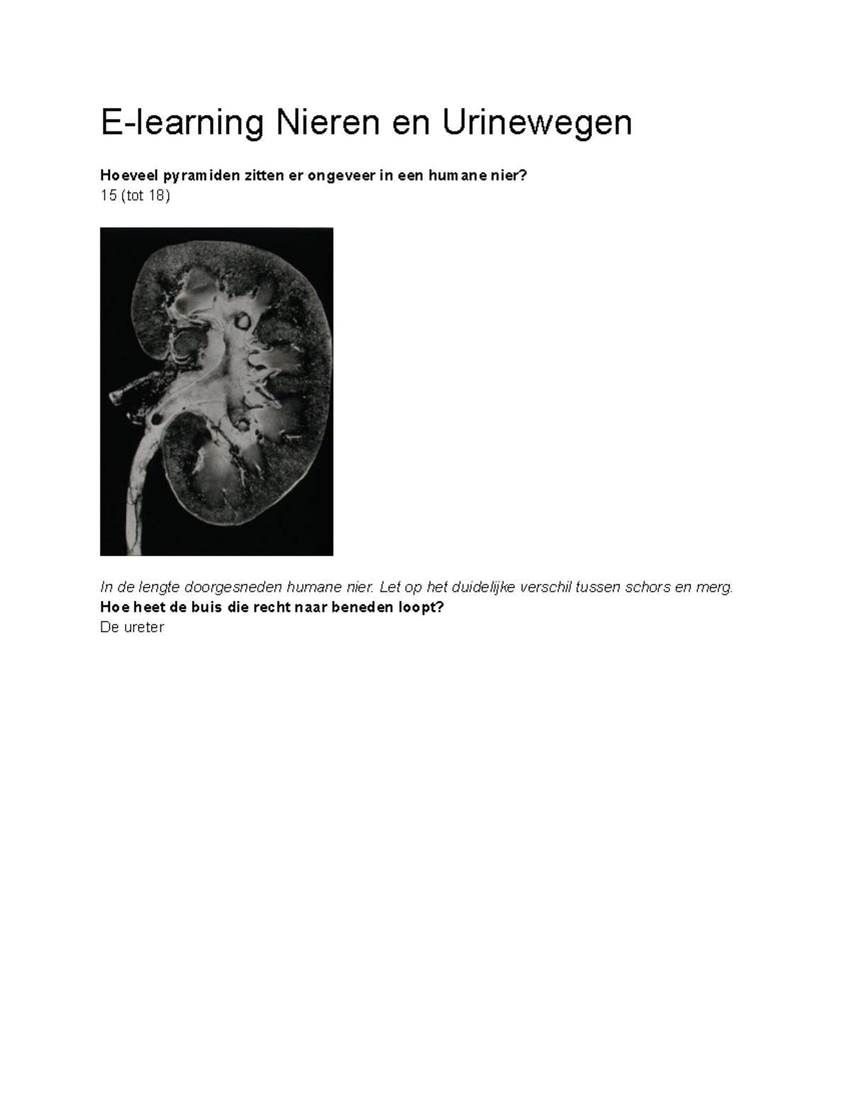 E-learning Nieren en Urinewegen - E-learning Nieren en Urinewegen ...