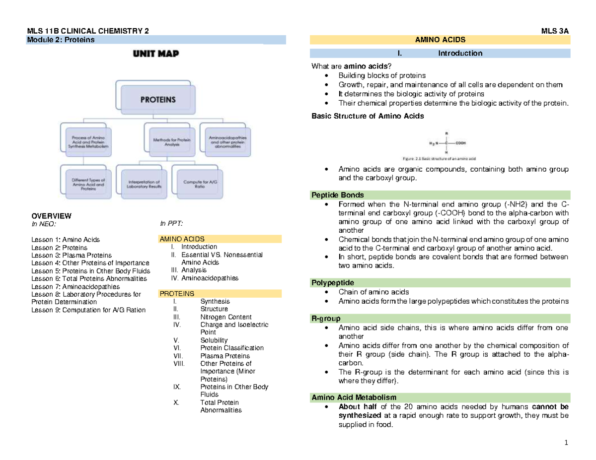 CC-LEC- Module 5 - Module 2: Proteins OVERVIEW In NEO: Lesson 1: Amino Acids Lesson 2: Proteins ...