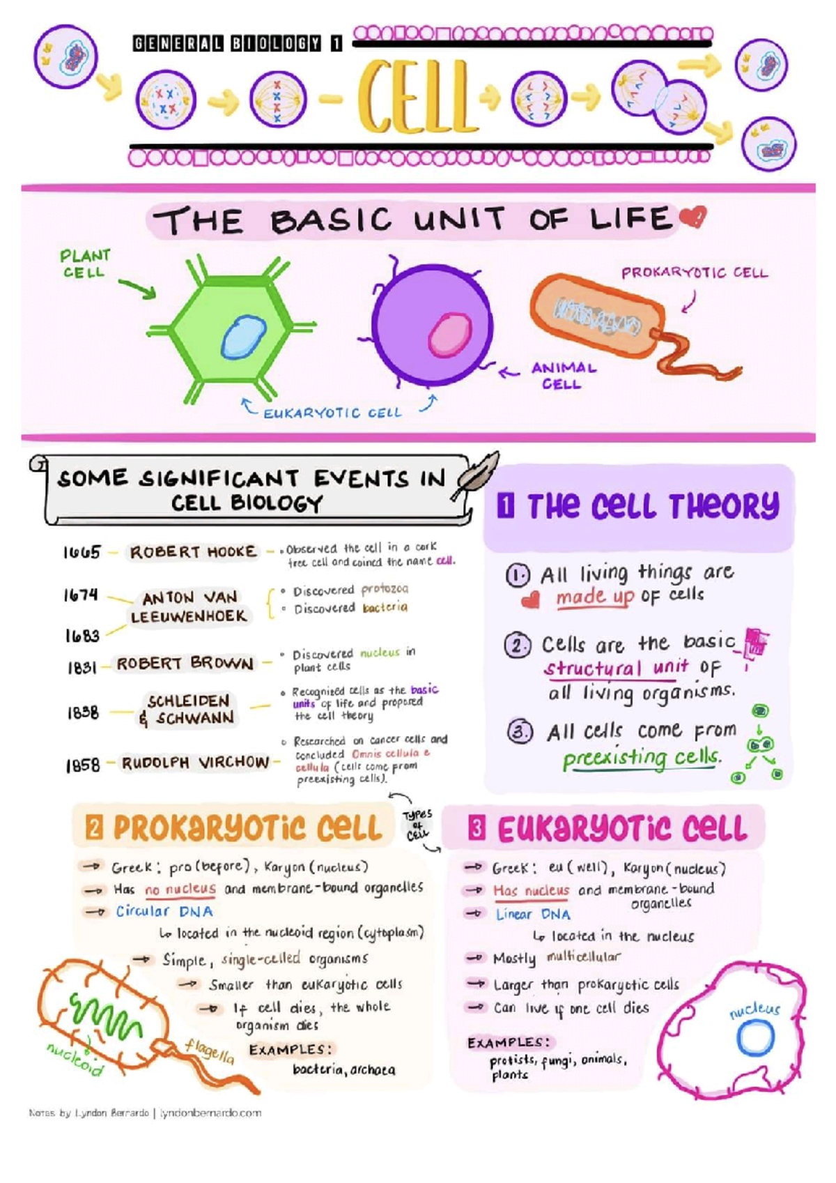 Gen Bio 1 - Reviewer - Cell Structure, General Biology - Studocu