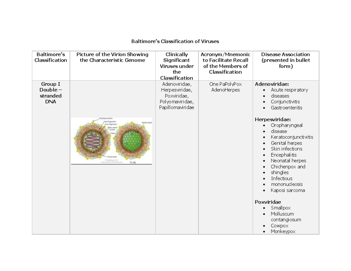 Baltimore's classification - Baltimore’s Classification of Viruses ...