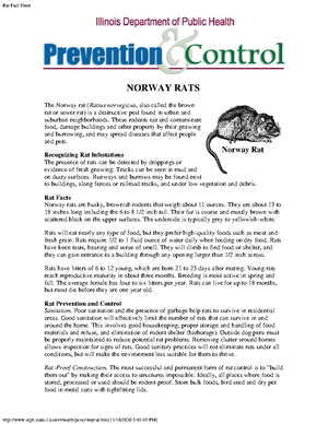 Rodent control - rats - Preventing Rats on Your Property A Guide for ...