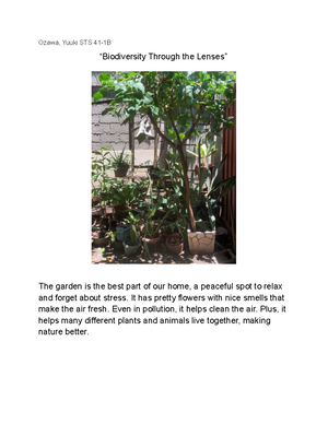 3 classes of filipinos during pre-colonial period -Datu or Rajah(rule ...