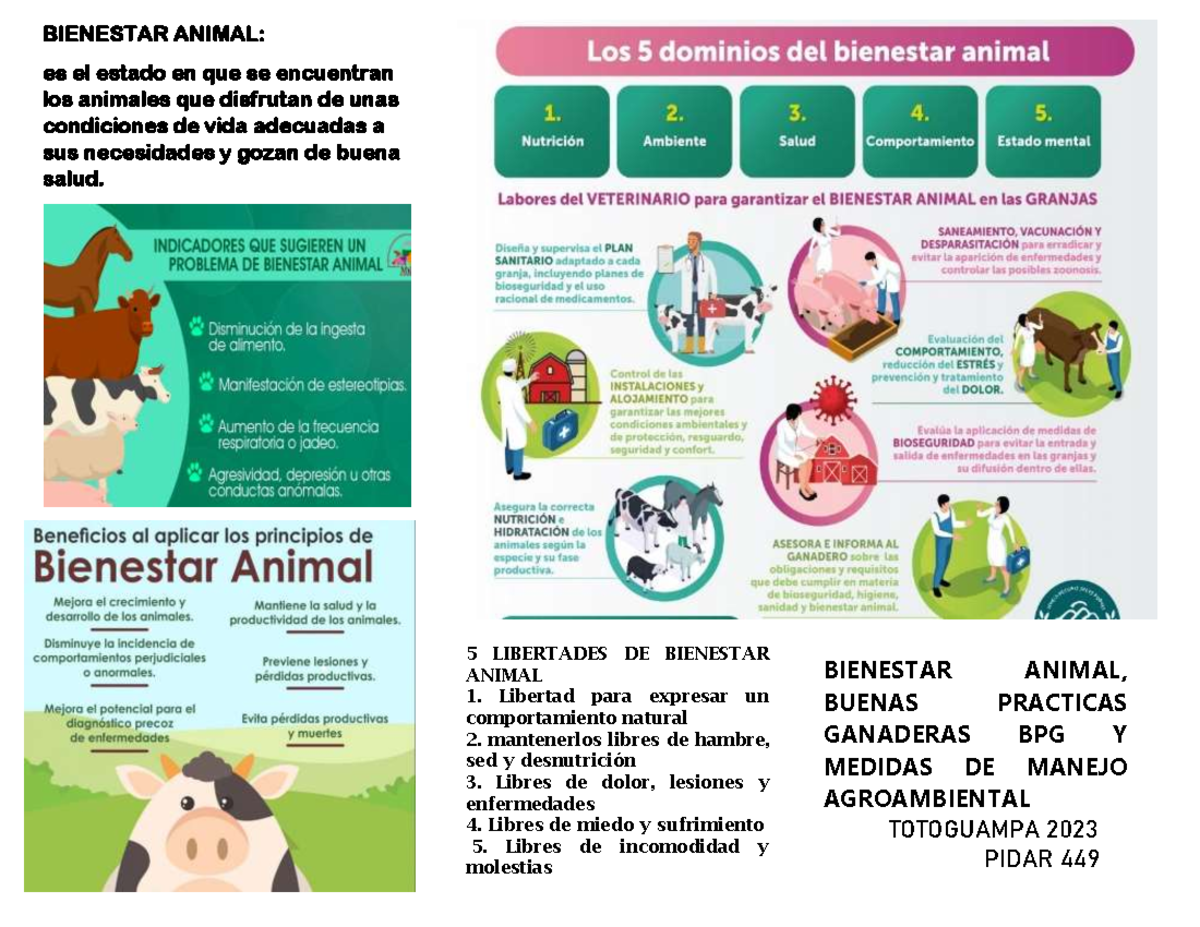 Folleto BPG, BA, MAN AMB - BIENESTAR ANIMAL: es el estado en que se ...