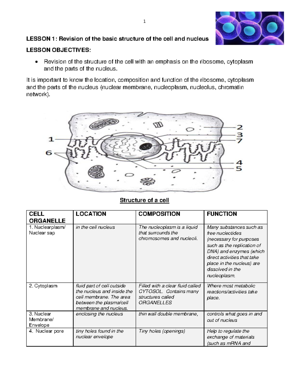 Lesson 1 Revision of cell structure learner copy - 1 LESSON 1: Revision ...