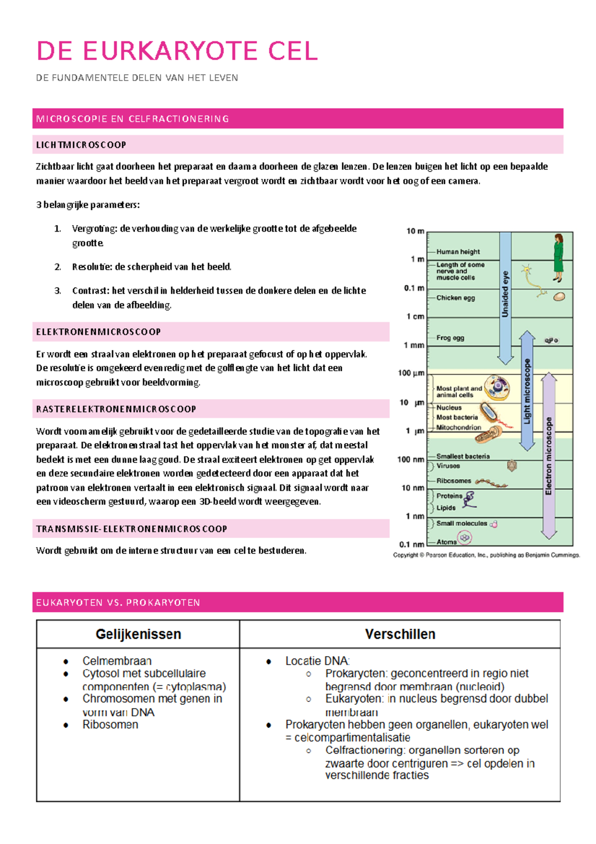 Chapter 7 Campbell Biology - DE EURKARYOTE CEL DE FUNDAMENTELE DELEN ...
